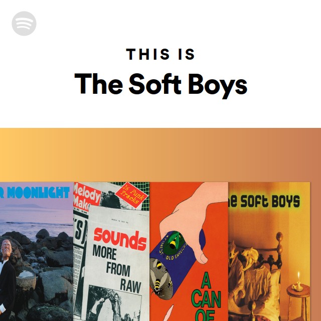 This Is The Soft Boys | Spotify Playlist