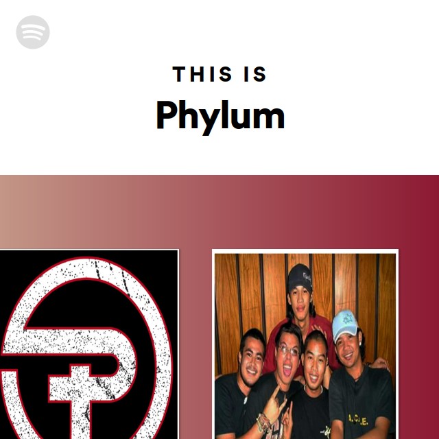 This Is Phylum - playlist by Spotify | Spotify