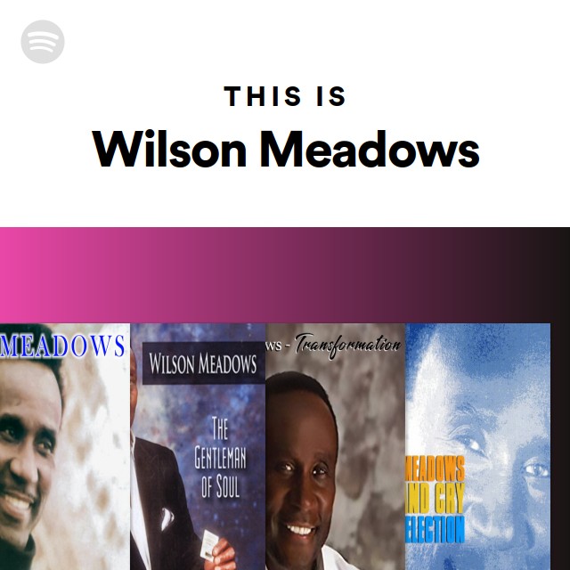 This Is Wilson Meadows - playlist by Spotify | Spotify