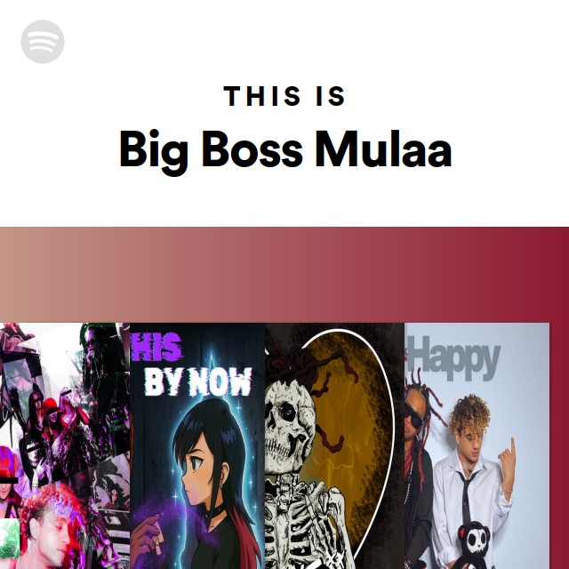 This Is Big Boss Mulaa | Spotify Playlist