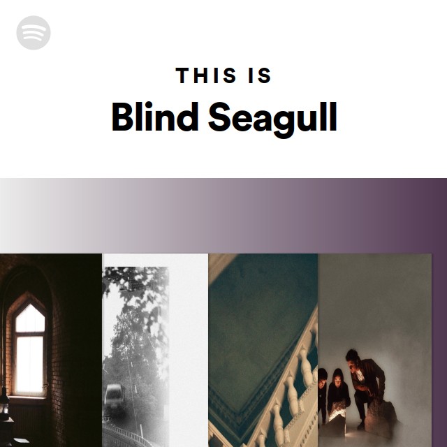 This Is Blind Seagull | Spotify Playlist