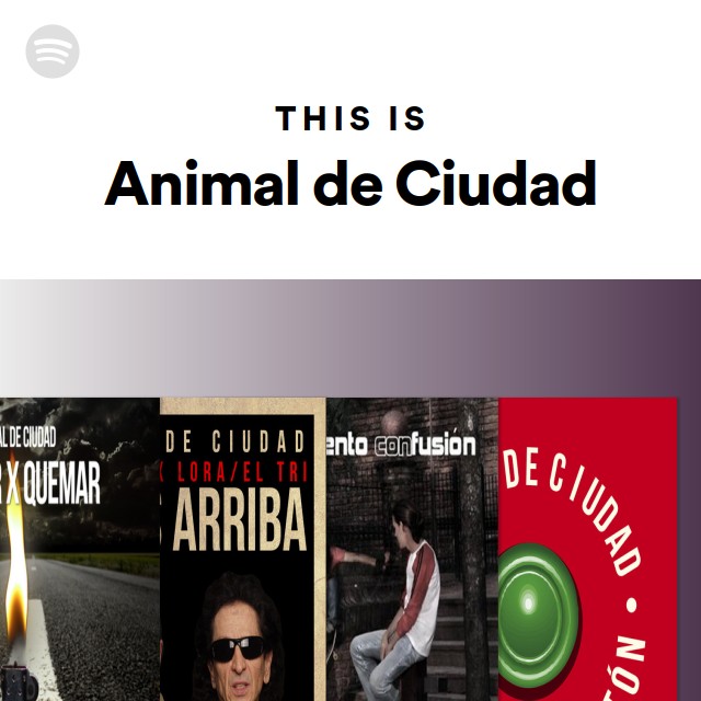 This Is Animal de Ciudad - playlist by Spotify | Spotify