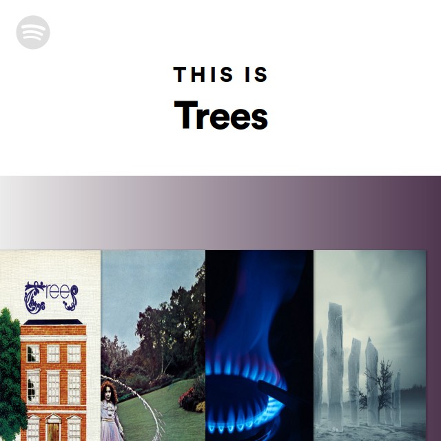 This Is Trees - playlist by Spotify | Spotify