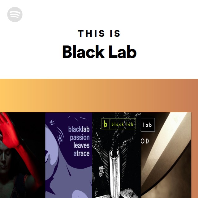 This Is Black Lab - playlist by Spotify | Spotify