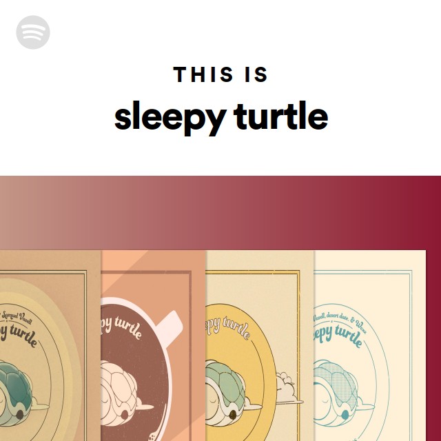 This Is sleepy turtle - playlist by Spotify | Spotify