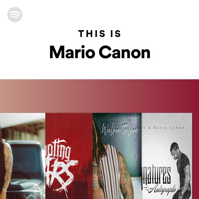 This Is Mario Canon | Spotify Playlist