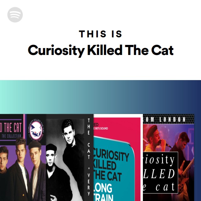 This Is Curiosity Killed The Cat - playlist by Spotify | Spotify