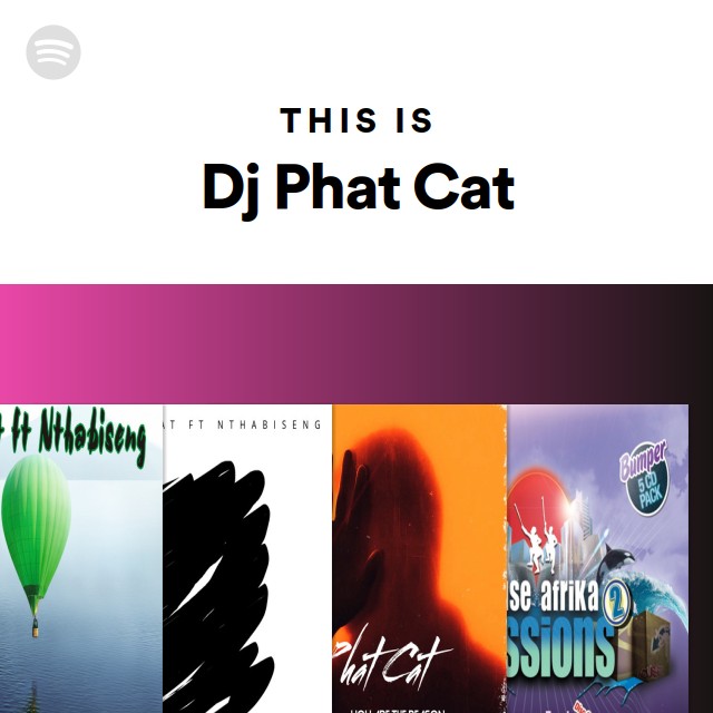 This Is Dj Phat Cat - playlist by Spotify | Spotify