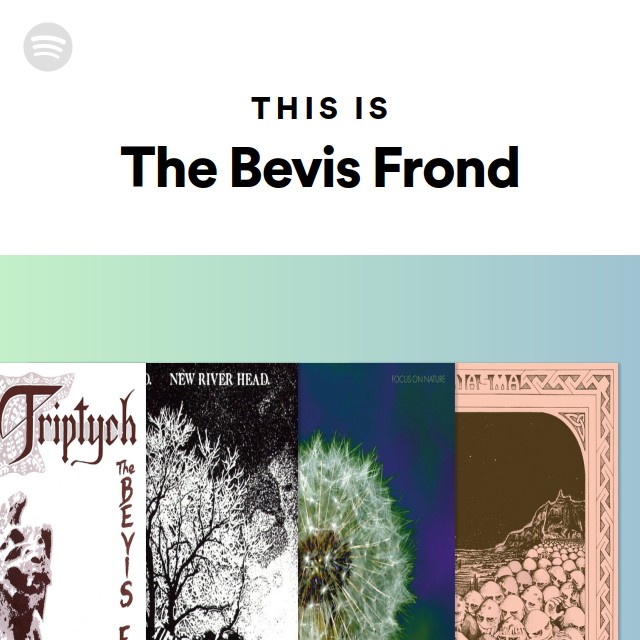 This Is The Bevis Frond - playlist by Spotify | Spotify