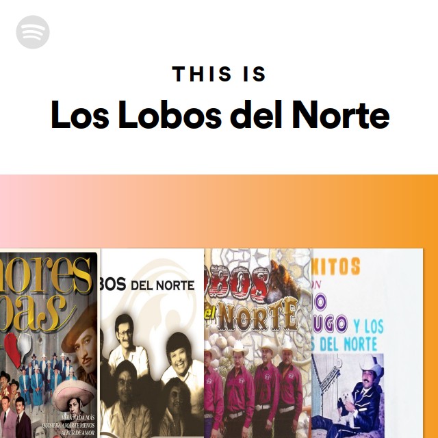 Los Lobos Del Norte Rey Lobo Del Norte, Señor De Los Lobos | Wiki