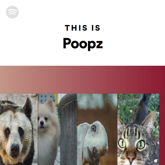 This Is Poopz - playlist by Spotify | Spotify