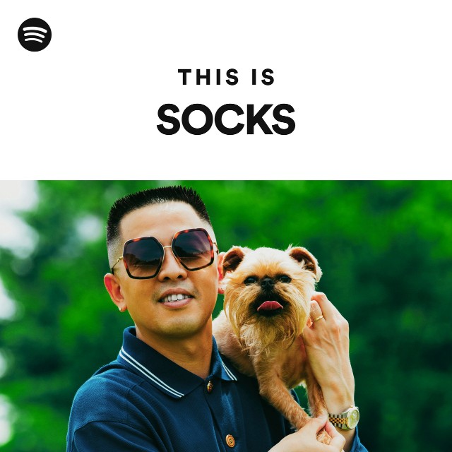 This Is SOCKS - playlist by Spotify | Spotify