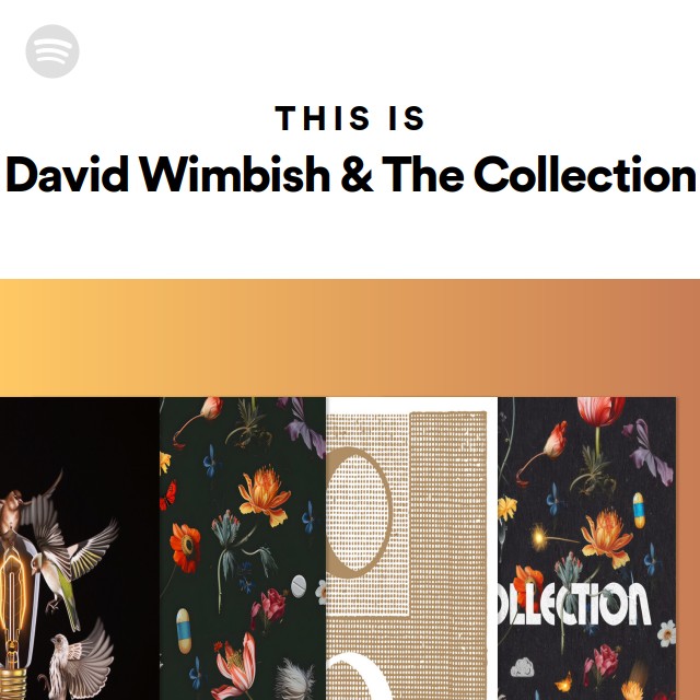 This Is The Collection - playlist by Spotify | Spotify