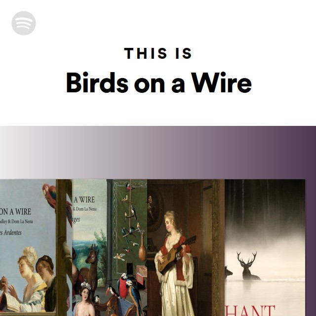 This Is Birds on a Wire | Spotify Playlist
