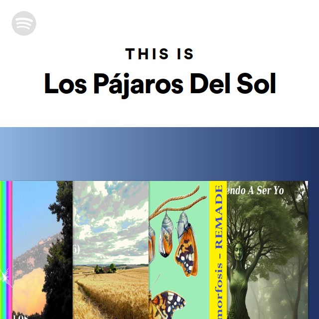 This Is Los Pájaros Del Sol | Spotify Playlist