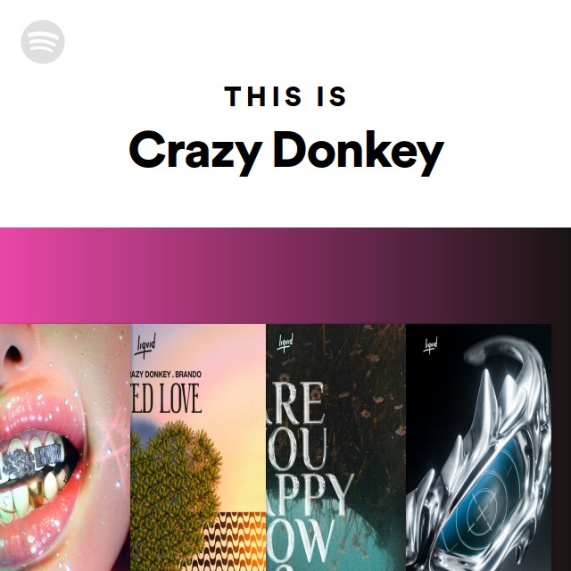 This Is Crazy Donkey | Spotify Playlist