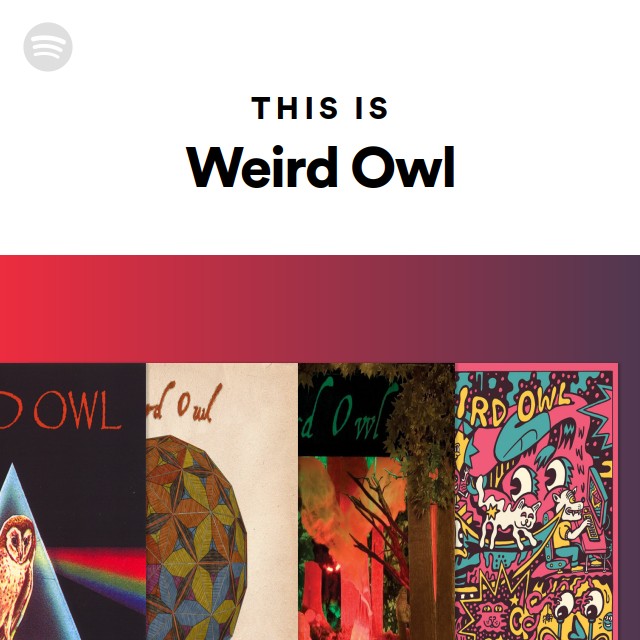 This Is Weird Owl - playlist by Spotify | Spotify