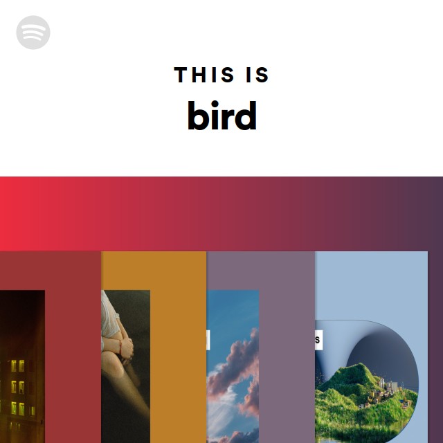 This Is bird - playlist by Spotify | Spotify