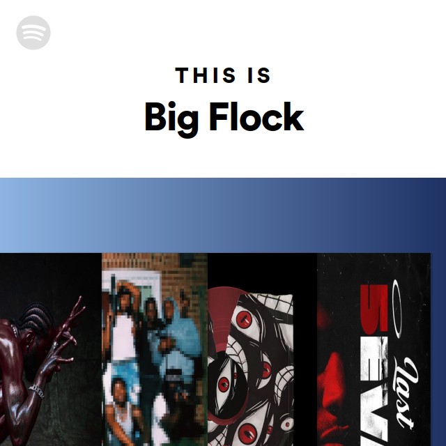 This Is Big Flock - playlist by Spotify | Spotify