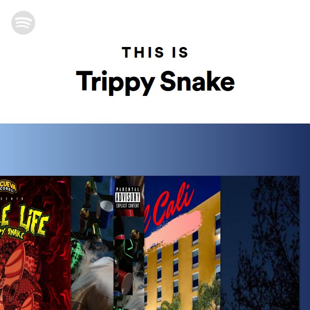 This Is Trippy Snake | Spotify Playlist