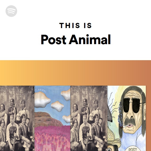 This Is Post Animal - playlist by Spotify | Spotify