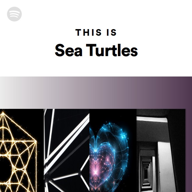 This Is Sea Turtles | Spotify Playlist