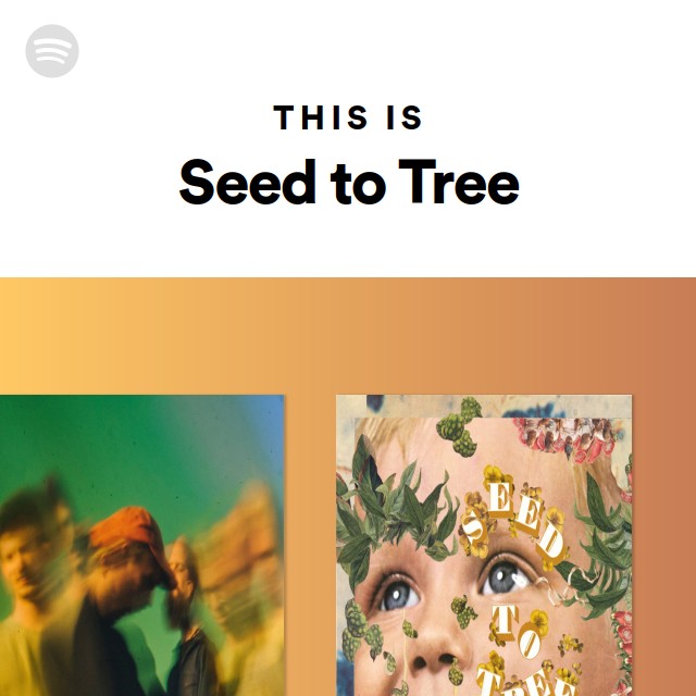 This Is Seed to Tree | Spotify Playlist