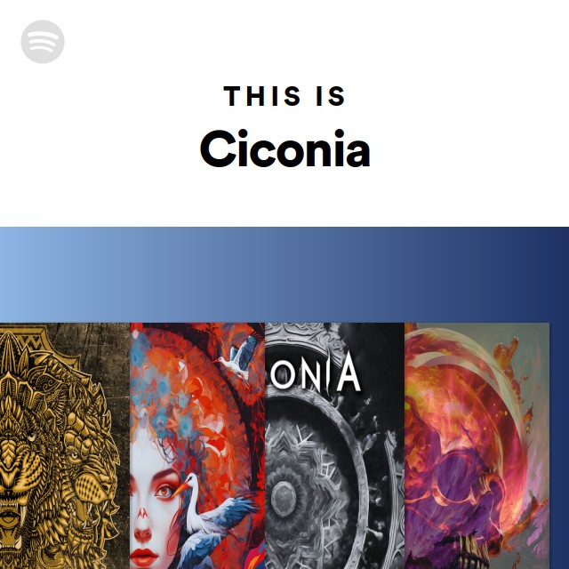 This Is Ciconia | Spotify Playlist