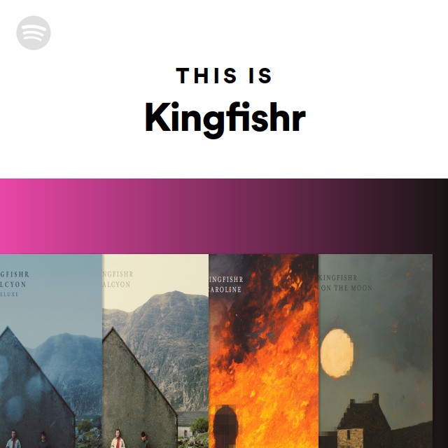 This Is Kingfishr - playlist by Spotify | Spotify