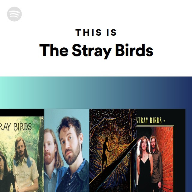 This Is The Stray Birds - playlist by Spotify | Spotify
