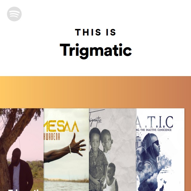 This Is Trigmatic - playlist by Spotify | Spotify
