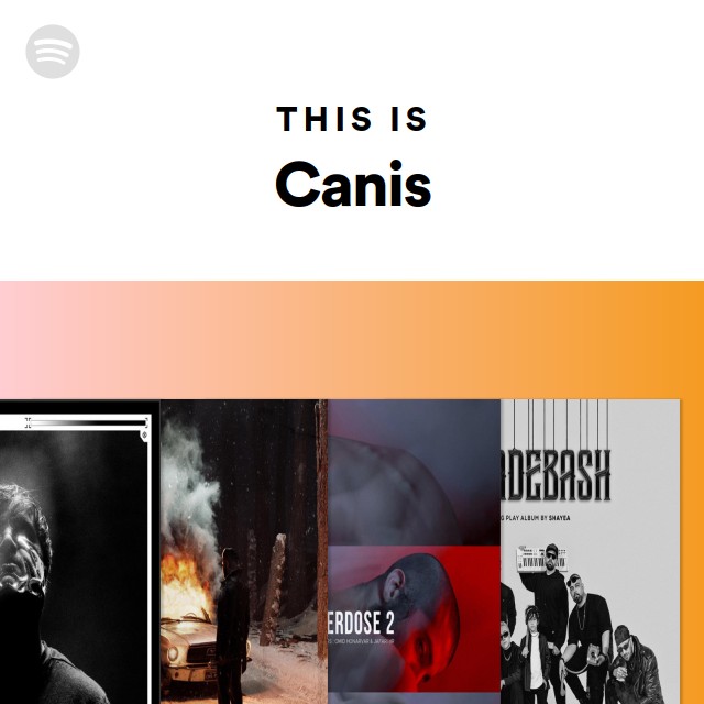 This Is Canis - playlist by Spotify | Spotify