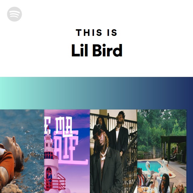 This Is Lil Bird - playlist by Spotify | Spotify