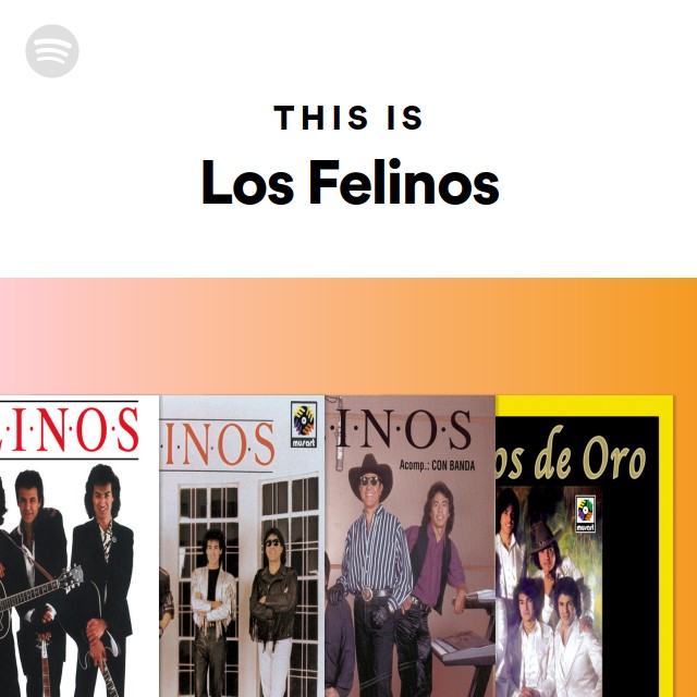 This Is Los Felinos - playlist by Spotify | Spotify
