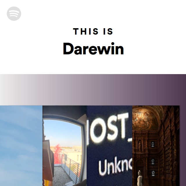 This Is Darewin - playlist by Spotify | Spotify
