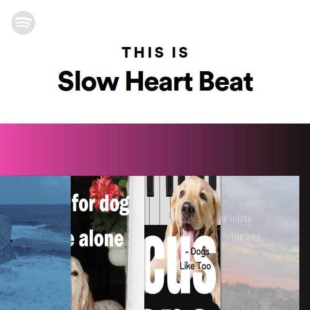 This Is Slow Heart Beat | Spotify Playlist
