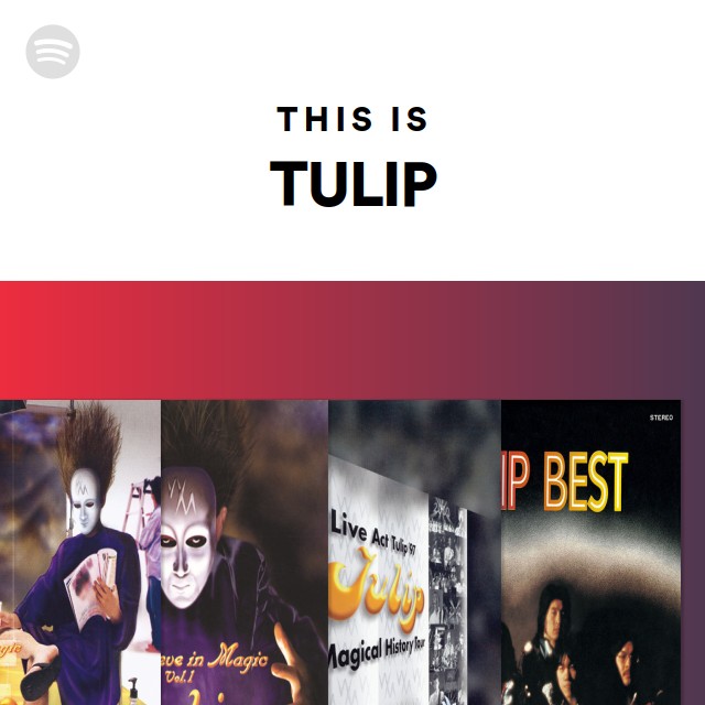 This Is TULIP - playlist by Spotify | Spotify