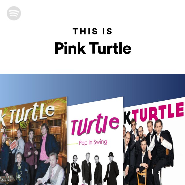This Is Pink Turtle - playlist by Spotify | Spotify