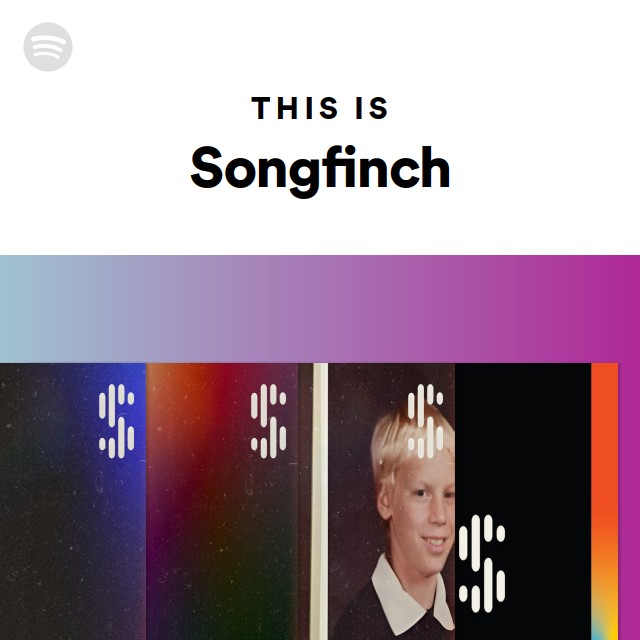 This Is Songfinch - playlist by Spotify | Spotify
