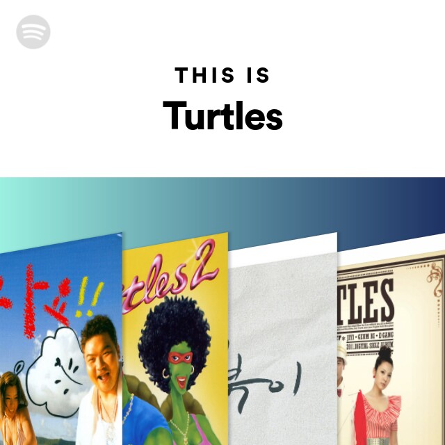 This Is Turtles - playlist by Spotify | Spotify